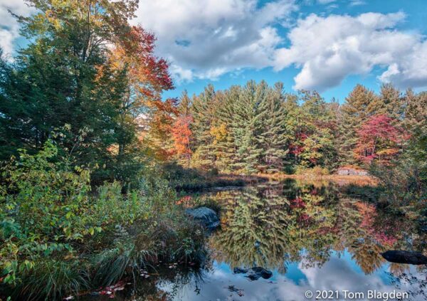 Great Mountain Forest – Great Mountain Forest’s mission is to be a ...