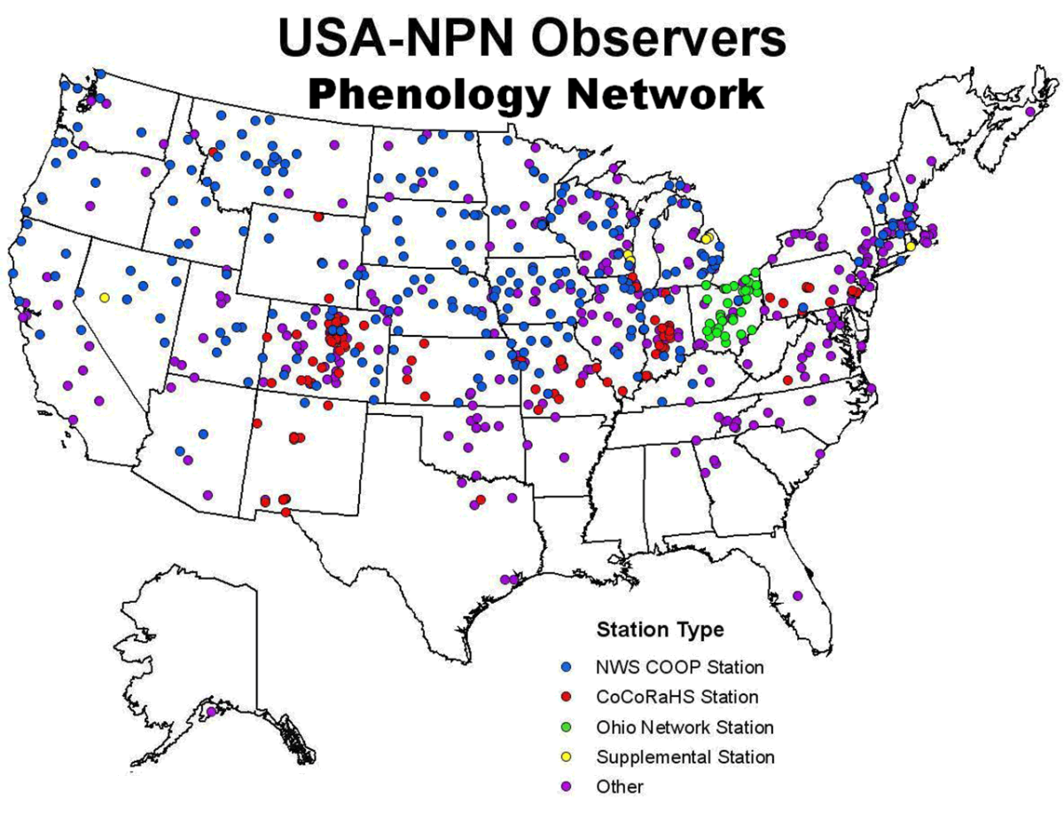Phenology Research – Great Mountain Forest