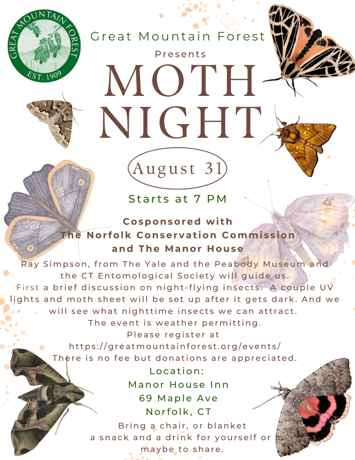 Moth Night – Great Mountain Forest