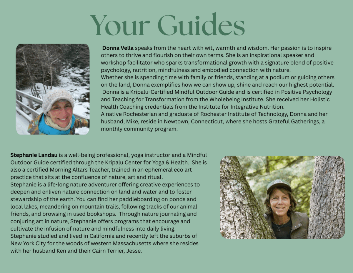 GMF Mindful Forest Immersion Series – Great Mountain Forest