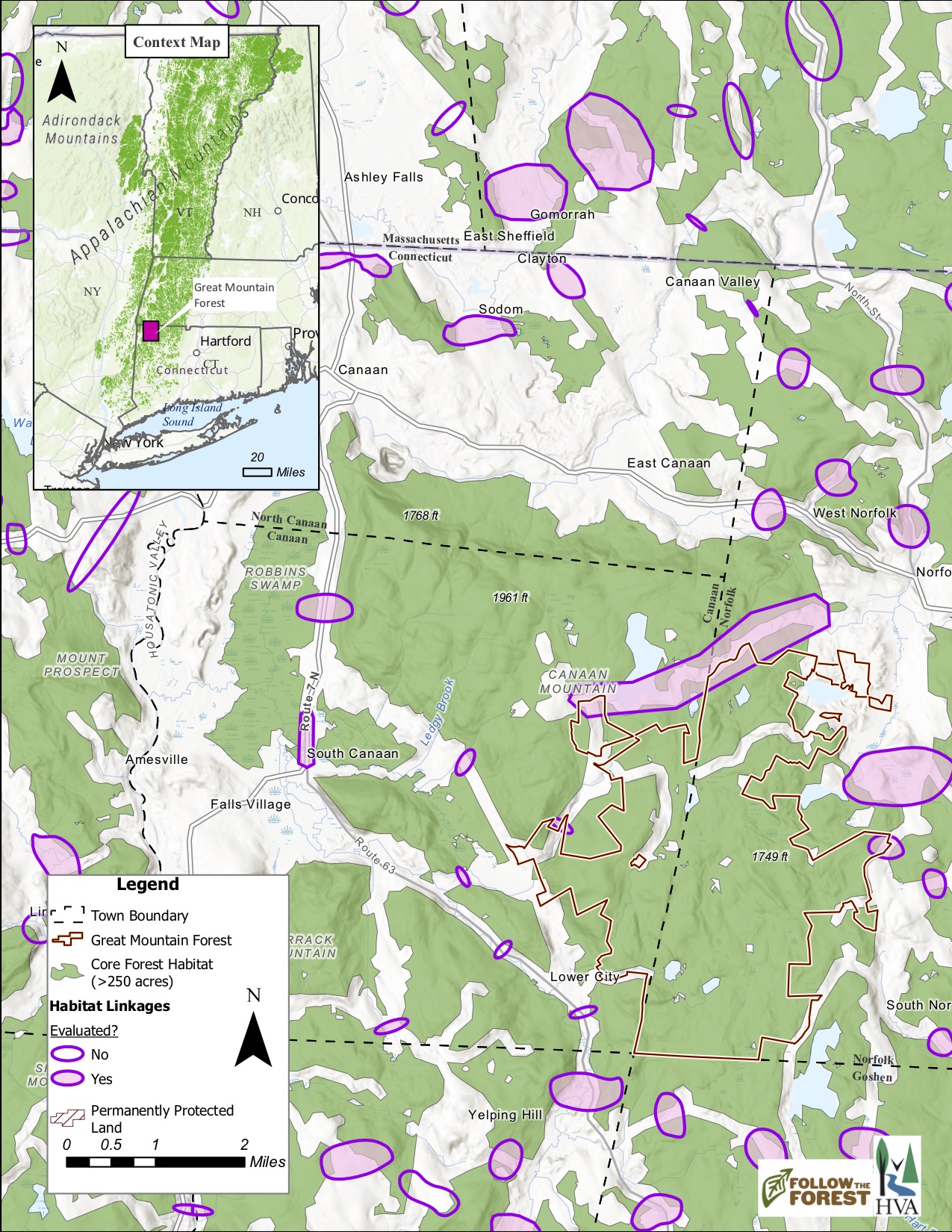 Following the Forest GMF Style – Great Mountain Forest