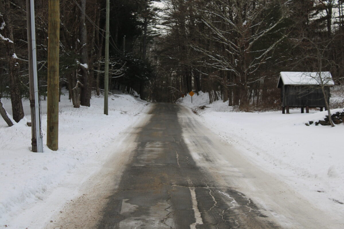 Following the Forest GMF Style – Great Mountain Forest